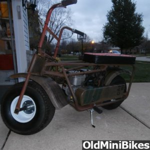 Terra Cats | OldMiniBikes.com