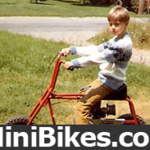 Rupp Chopper vintage | OldMiniBikes.com