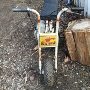 Trail horse 500 gto | OldMiniBikes.com