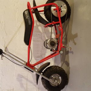 24v leeson motor | OldMiniBikes.com