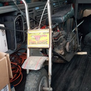 Trail Horse Wizard SS 300 | OldMiniBikes.com