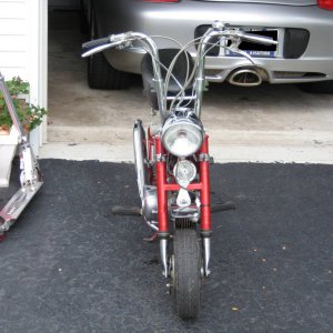 Benelli Buzzer (Sep 26) (Front) | OldMiniBikes.com