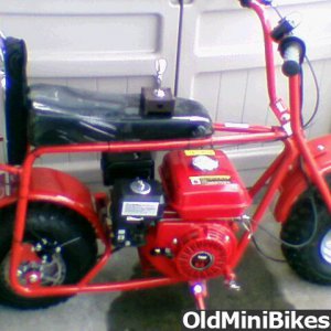 Trail Sport Buffalo TSB 600 | OldMiniBikes.com