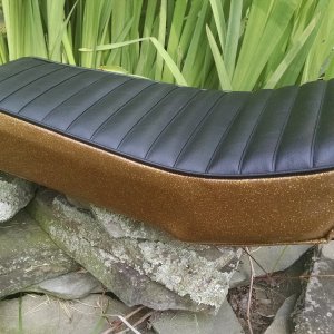 Cat Slingshot | OldMiniBikes.com