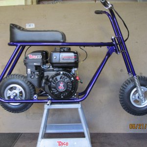 new taco 22 212 preditor | OldMiniBikes.com