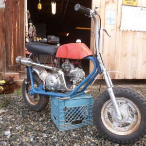 Bonanza , 110cc Honda Clone | OldMiniBikes.com