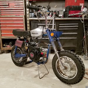 RUPP MINI BIKE WITH PREDATOR | OldMiniBikes.com
