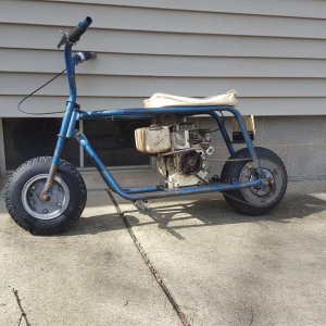 stellar_4 | OldMiniBikes.com