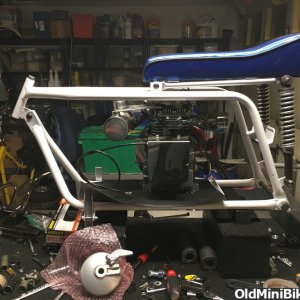 Super Stocker tribute bike | OldMiniBikes.com
