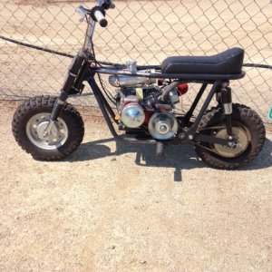Taco Predator Racer | OldMiniBikes.com