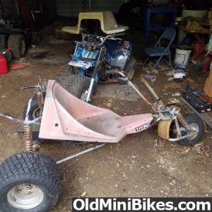 tri_sport | OldMiniBikes.com