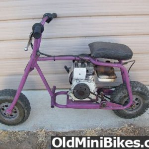 Flexo_9 | OldMiniBikes.com