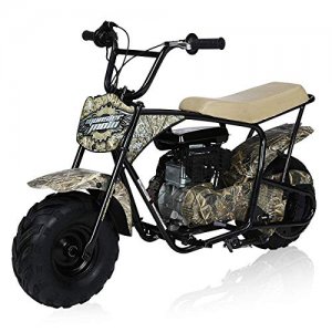 Monster Moto B80 Mini Bike.jpg | OldMiniBikes.com