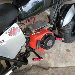 20231016_173552.jpg | OldMiniBikes.com