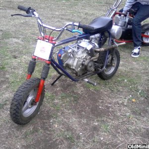 the yard | OldMiniBikes.com