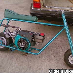 Birds_Bike_02 | OldMiniBikes.com