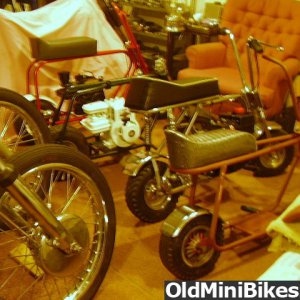 EZ Rider Arco | OldMiniBikes.com