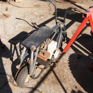 Cat | OldMiniBikes.com