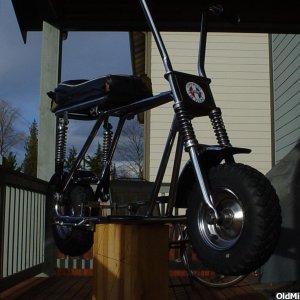 JCPenney_EL-Tigre5 | OldMiniBikes.com