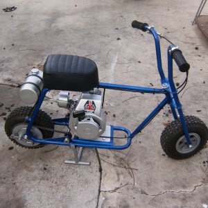 Flexo | OldMiniBikes.com