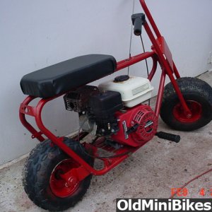 This Trail Horse is a Beast !!! | OldMiniBikes.com