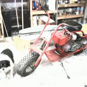 tule trooper | OldMiniBikes.com