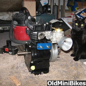 briggs for toyoco 2 | OldMiniBikes.com