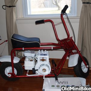 scat cat | OldMiniBikes.com