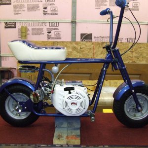 side cover decal | OldMiniBikes.com