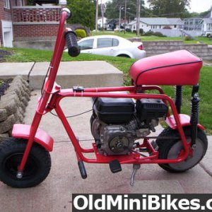 Golden Pinto | OldMiniBikes.com
