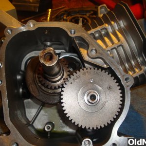 00925 | OldMiniBikes.com