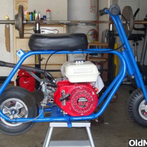 RTG CAT. | OldMiniBikes.com
