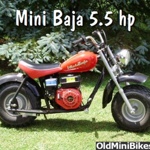 Mini Baja | OldMiniBikes.com