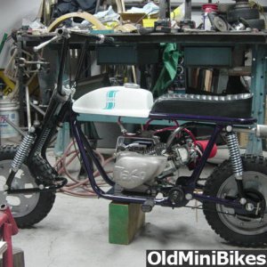taco t100 steens | OldMiniBikes.com