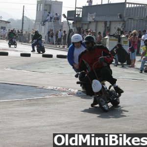 2729616107_caf1e001e7 | OldMiniBikes.com