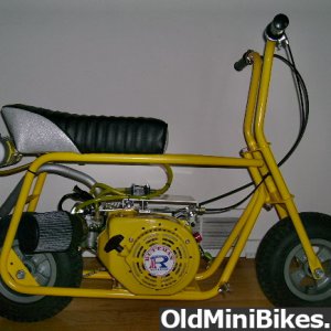 Ruttman Wild Goose | OldMiniBikes.com