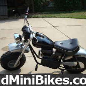 Baja | OldMiniBikes.com
