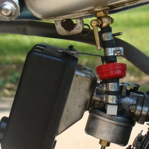 NIGHTHAWK | OldMiniBikes.com