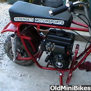Bagder side shot | OldMiniBikes.com