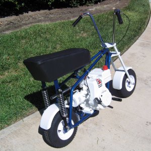 Bird | Page 8 | OldMiniBikes.com