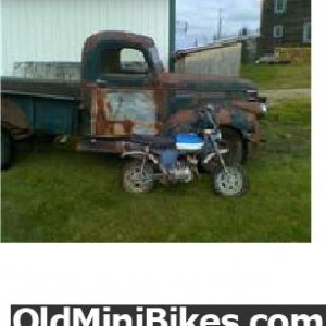 old blue | OldMiniBikes.com