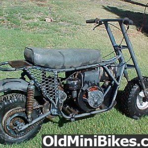 BearKat | OldMiniBikes.com