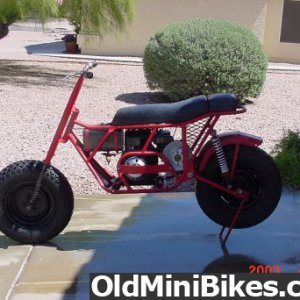 BearKat | OldMiniBikes.com