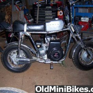 Powerdyne Cougar | OldMiniBikes.com