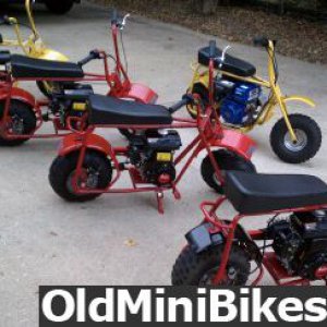 My group of doodle bugs | OldMiniBikes.com