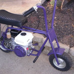 Golden Pinto | OldMiniBikes.com