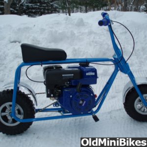 Bad_Dog_005 | OldMiniBikes.com