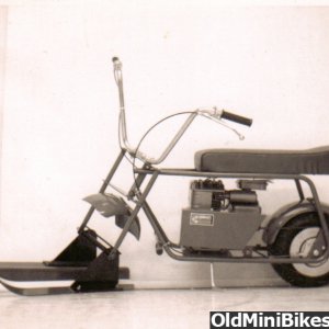 Wildcat | OldMiniBikes.com