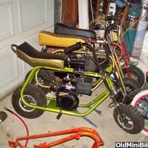 Cat Slingshot | OldMiniBikes.com