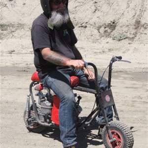 Evil E ? | OldMiniBikes.com